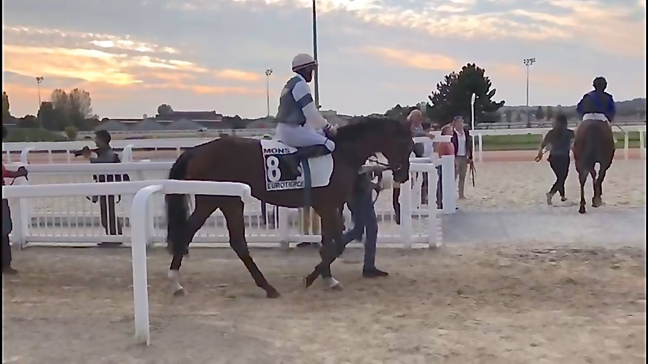 We are happy and celebrate Rapido's victory in the Belgian Mons! – Adel ...