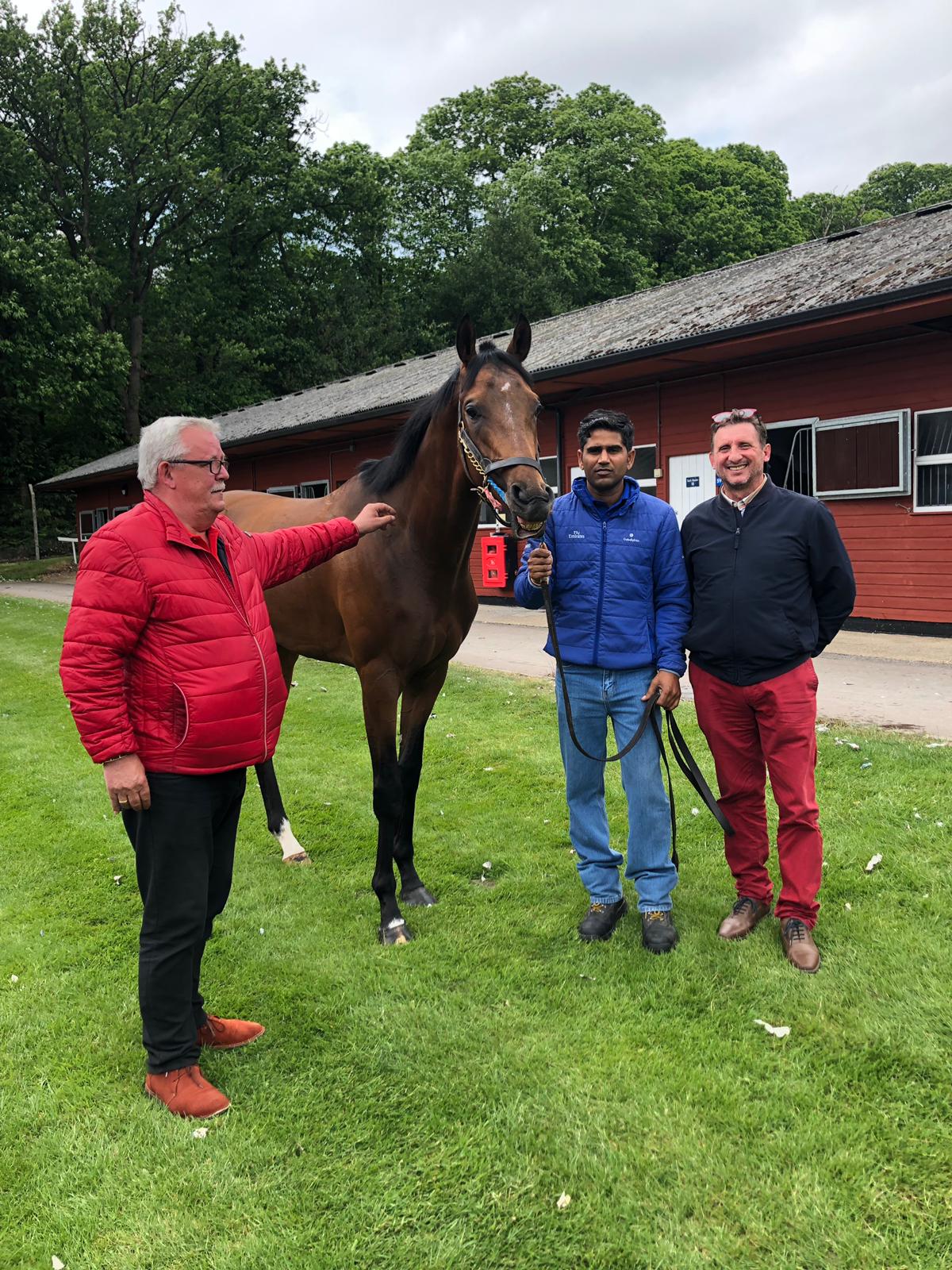 Three-year-old winner Will Be Zane moves to Adel Resort – Adel Resort